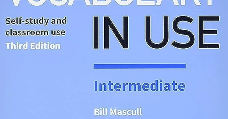 Business Vocabulary in Use: Intermediate (Book with Answers + ebook ...