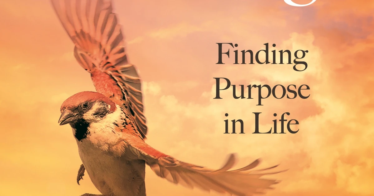 The Will to Meaning : Finding Purpose in Life