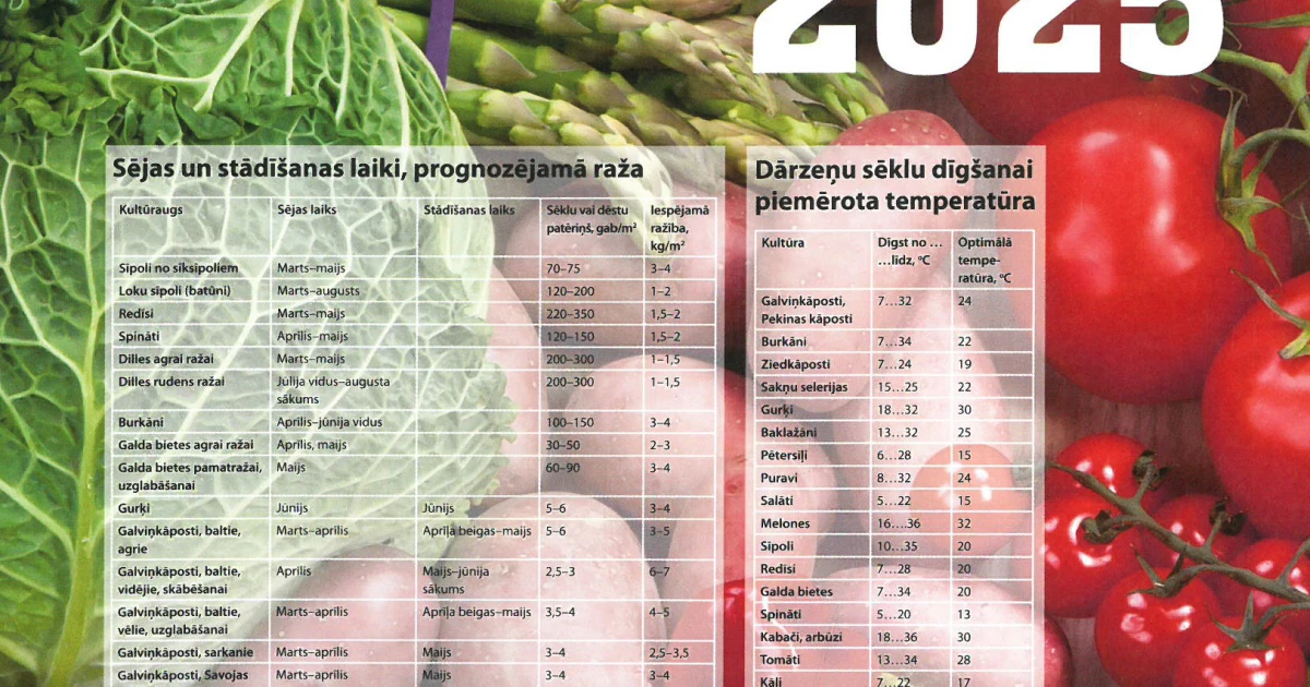 Dārza darbu kalendārs 2025