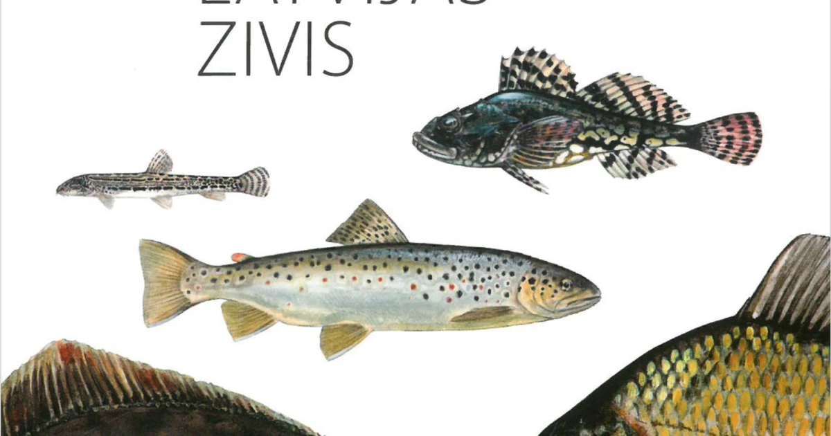 Pazīsti Latvijas zivis ( CV)