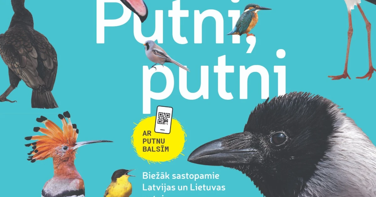Putni, putni. Biežak sastopamie Latvijas un Lietuvas putni